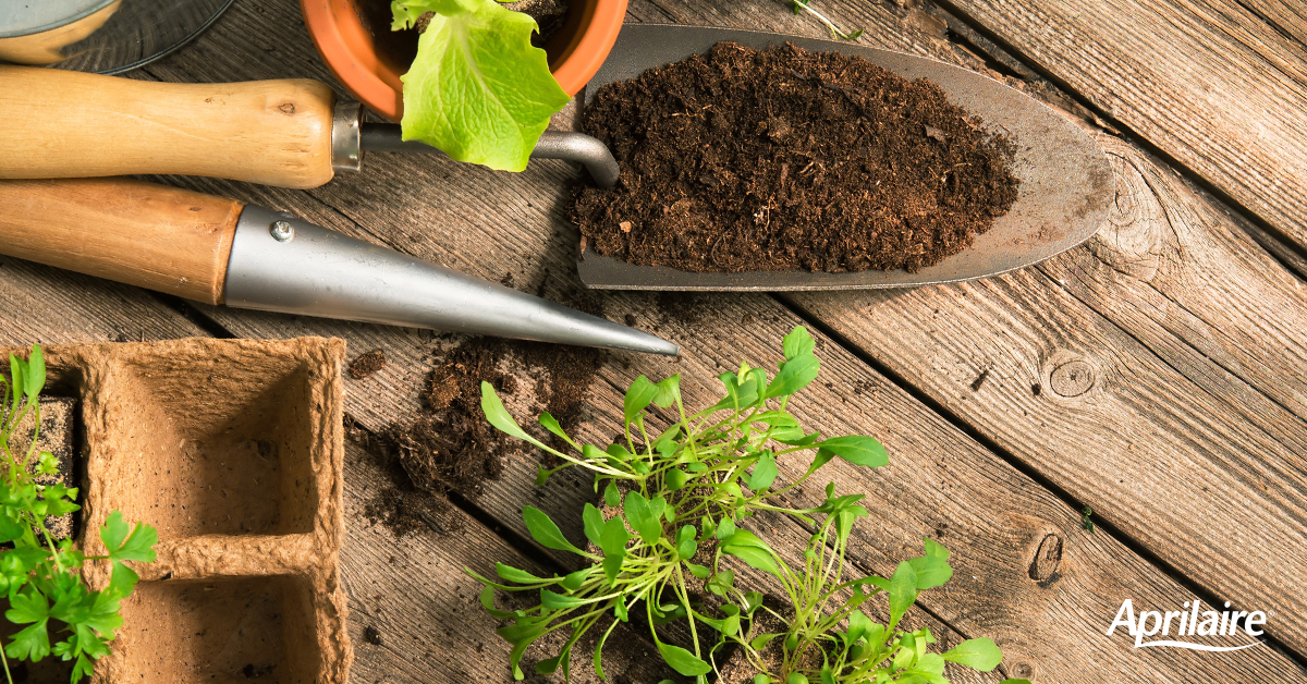 Your Spring Plant Care Checklist Aprilaire your-spring-plant-care-checklist-aprilaire