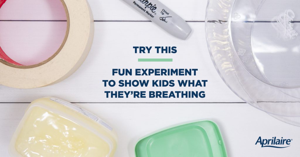 Crafts for Kids: DIY Air Quality Experiment