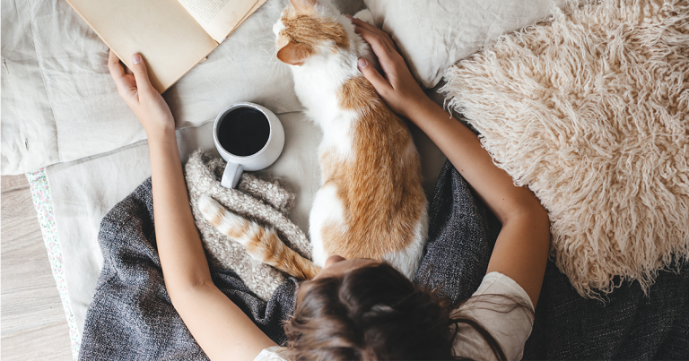 Fall Tips—Getting Cozy in a Healthy Home